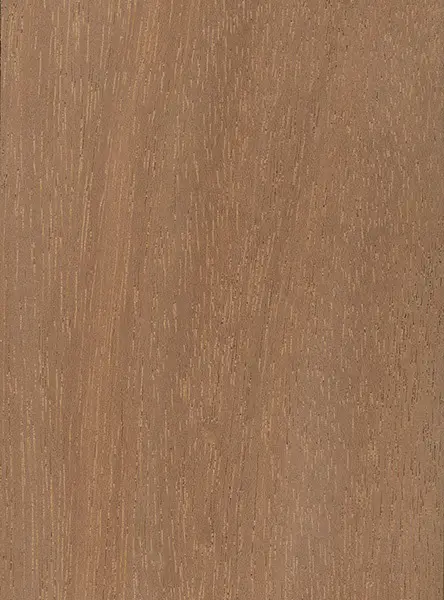 Lemnul de mahon: specii diverse, proprietăți, utilizări - Revista din lemn