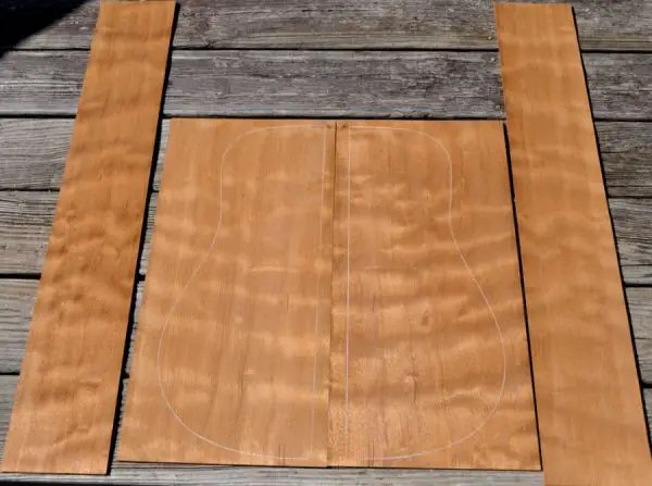 Lemnul de mahon: specii diverse, proprietăți, utilizări - Revista din lemn