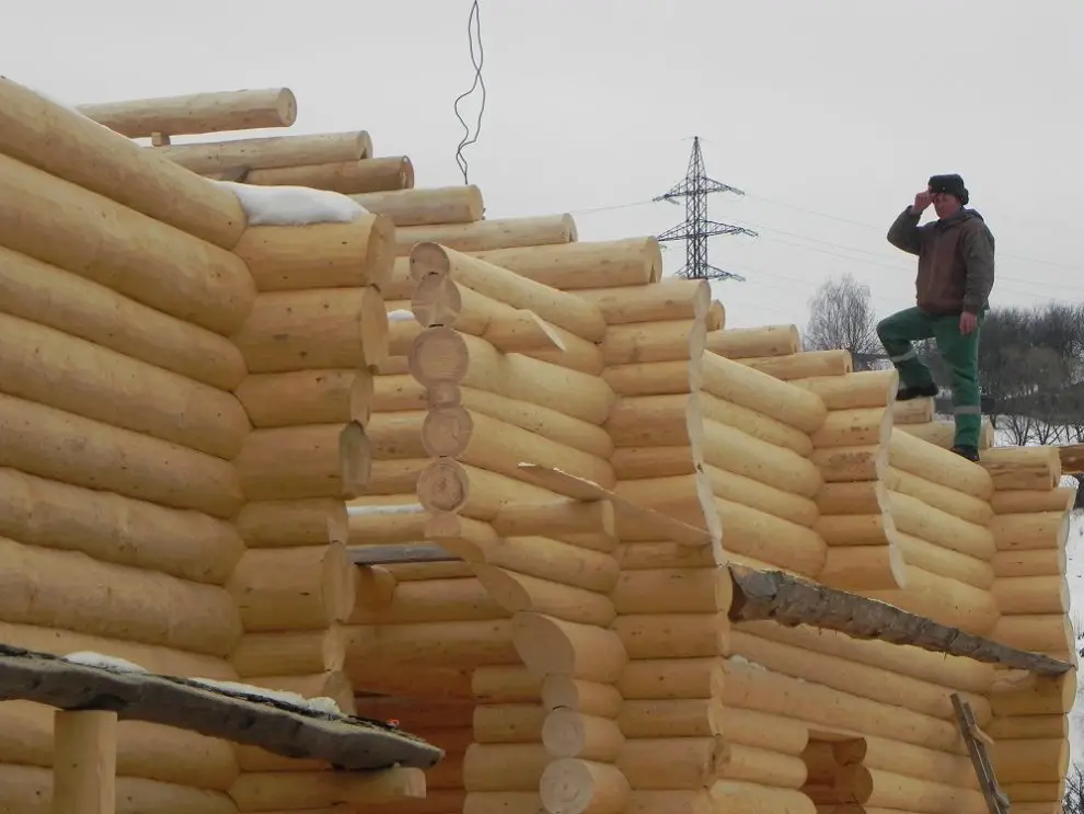 Case din lemn rotund - Revista din lemn