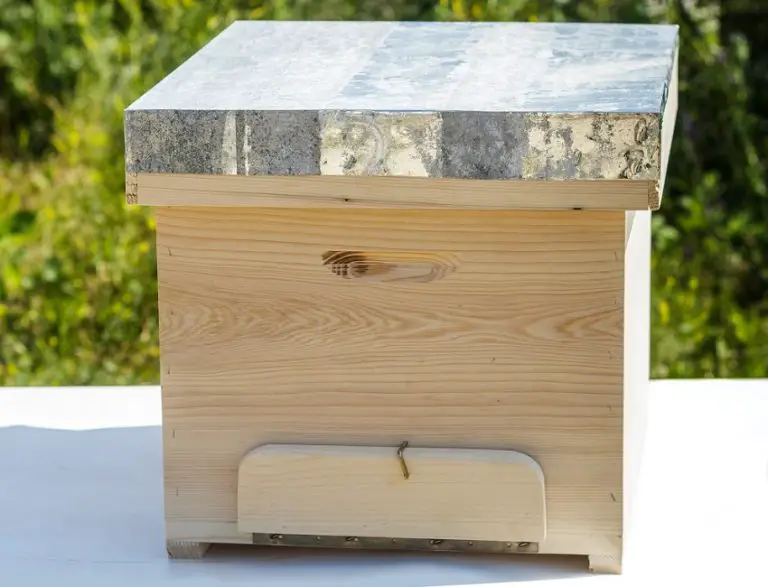 Stupi de lemn: componente, alegerea lemnului, încleiere, finisare ...